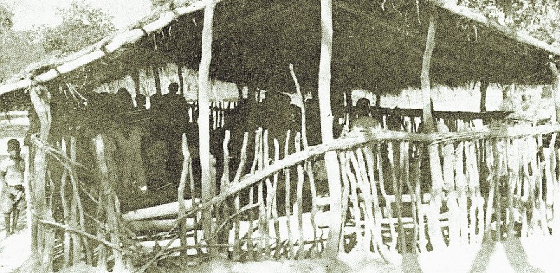 Początki polskiej misji w Chingombe. Jan Lazarewicz SJ. Cz. II ...